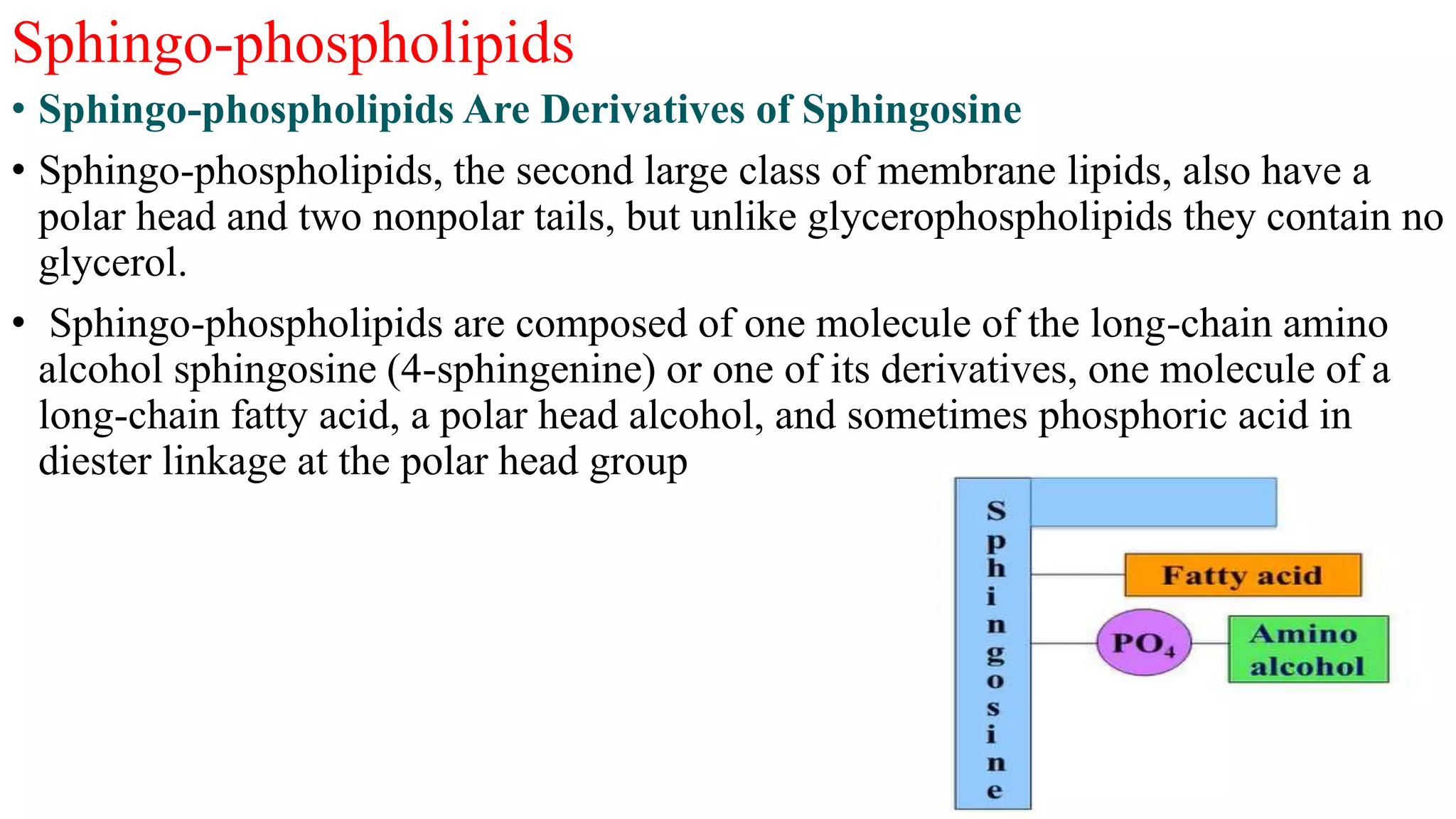 Chemical composition of plasma membrane | PPTX