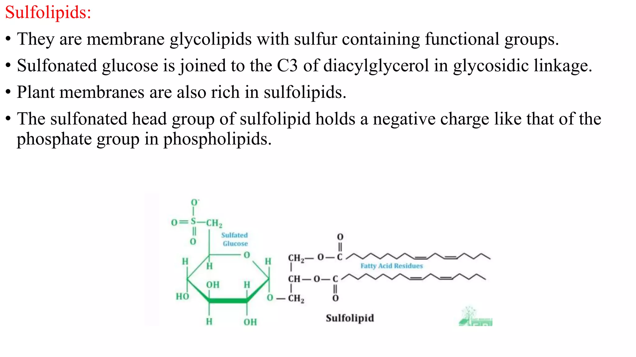 Chemical composition of plasma membrane | PPTX