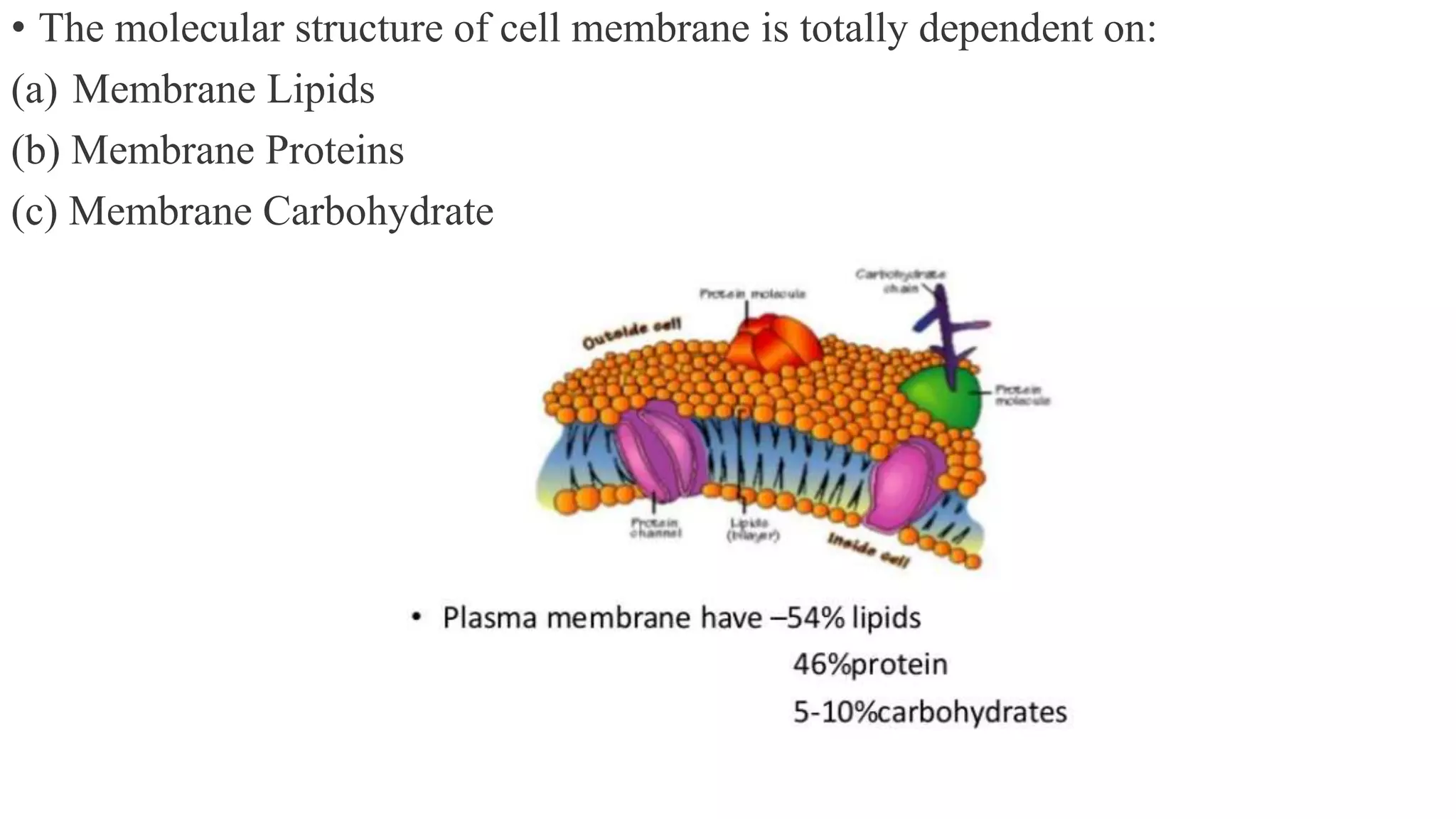Chemical composition of plasma membrane | PPTX