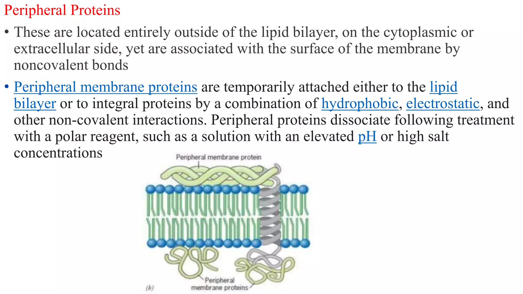 Chemical composition of plasma membrane | PPTX