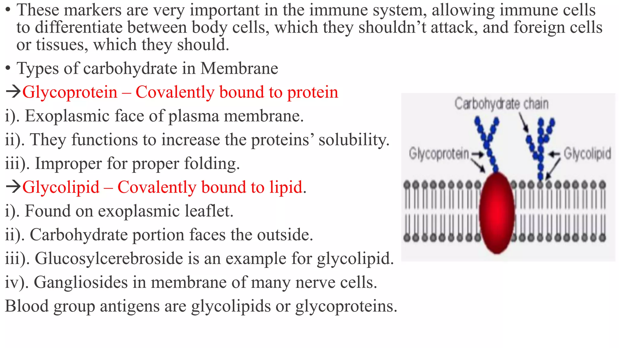 Chemical composition of plasma membrane | PPTX