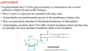 Chemical composition of plasma membrane | PPTX