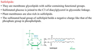 Chemical composition of plasma membrane | PPTX