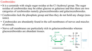 Chemical composition of plasma membrane | PPTX