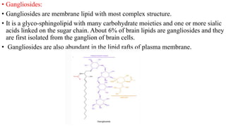 Chemical composition of plasma membrane | PPTX