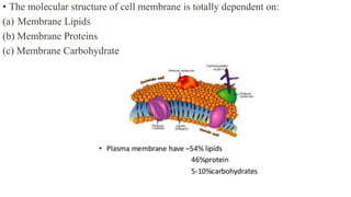 Chemical composition of plasma membrane | PPTX