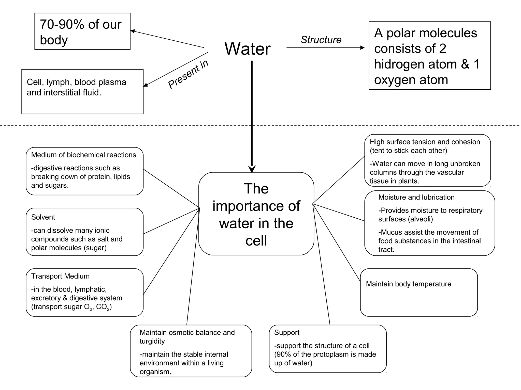 CHAPTER 4: 1.CHEMICAL COMPOSITION OF THE CELL | PPT