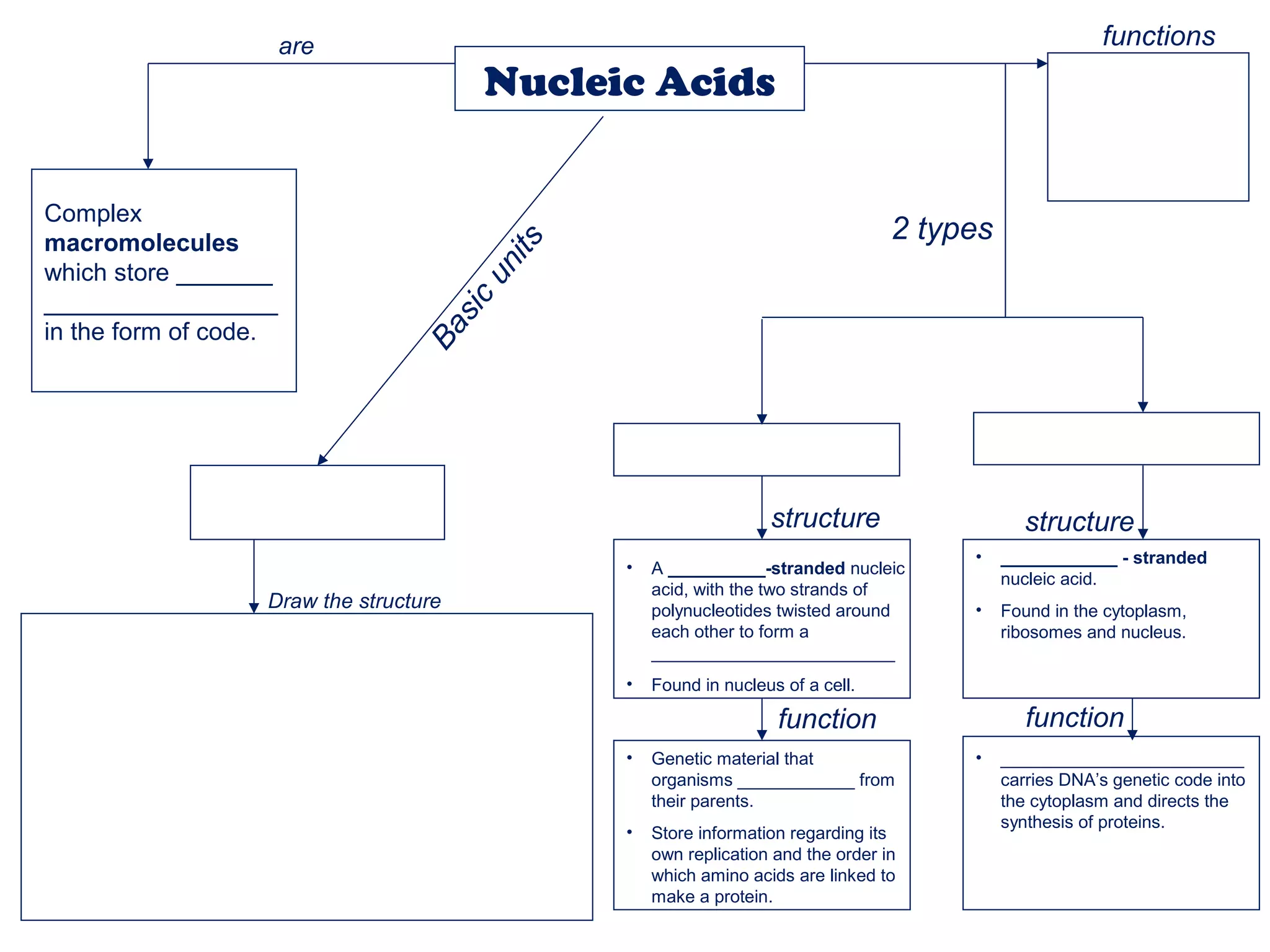 CHAPTER 4: 1.CHEMICAL COMPOSITION OF THE CELL | PPT