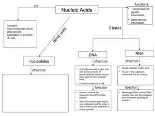 CHAPTER 4: 1.CHEMICAL COMPOSITION OF THE CELL | PPT