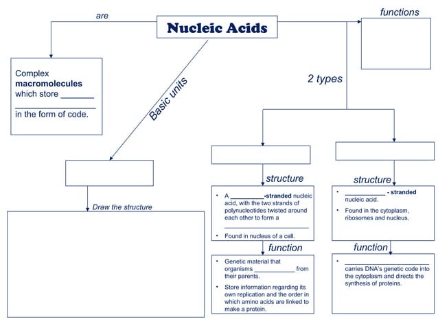 CHAPTER 4: 1.CHEMICAL COMPOSITION OF THE CELL | PPT