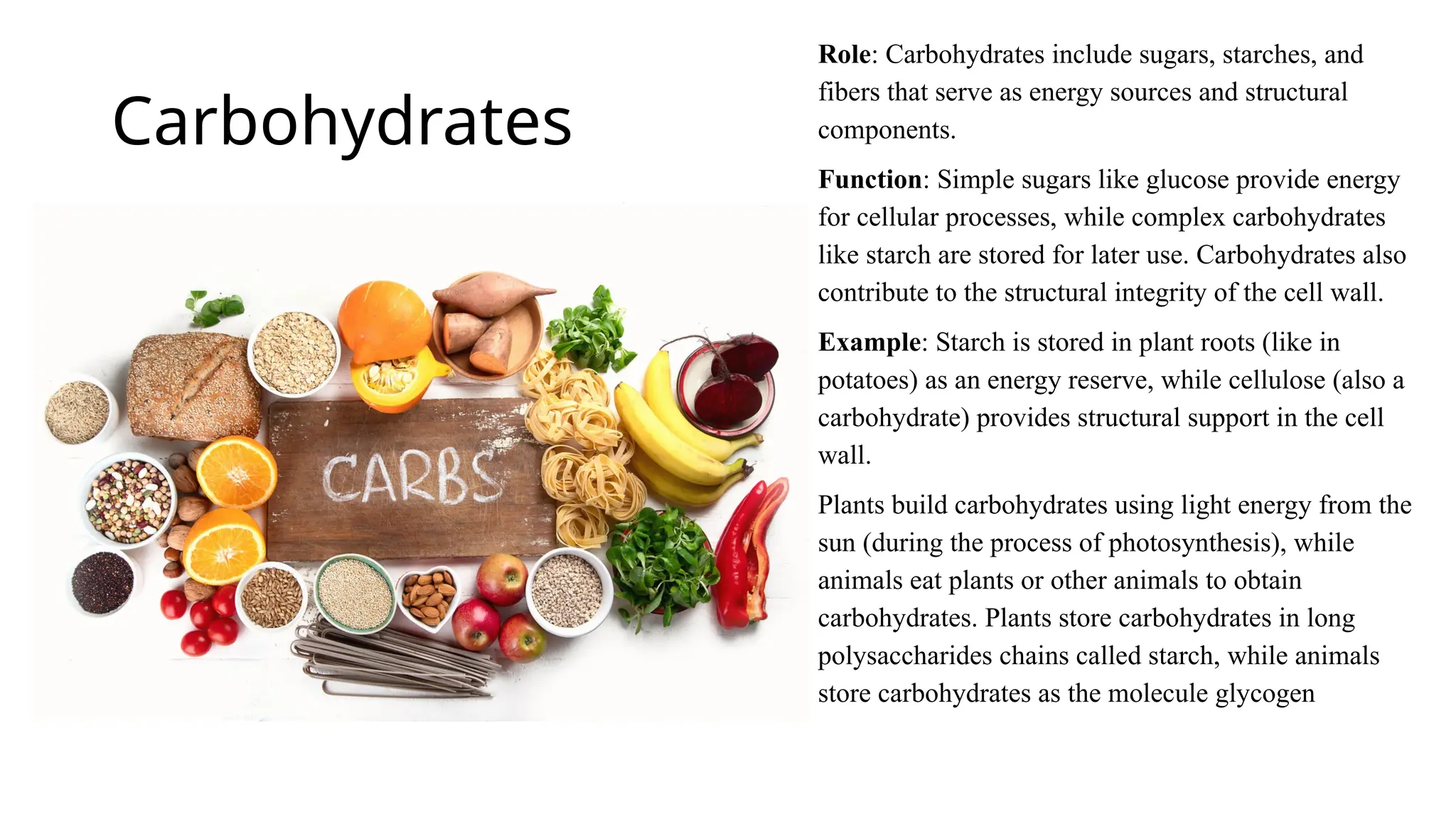 CHEMICAL COMPOSITION OF THE CELL – PLANT CELL.pptx