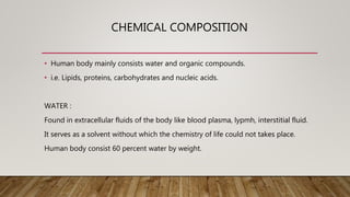 chemical composition of the human body.pptx