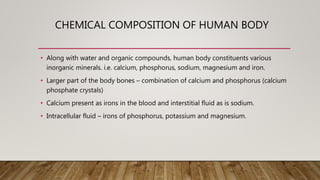 chemical composition of the human body.pptx