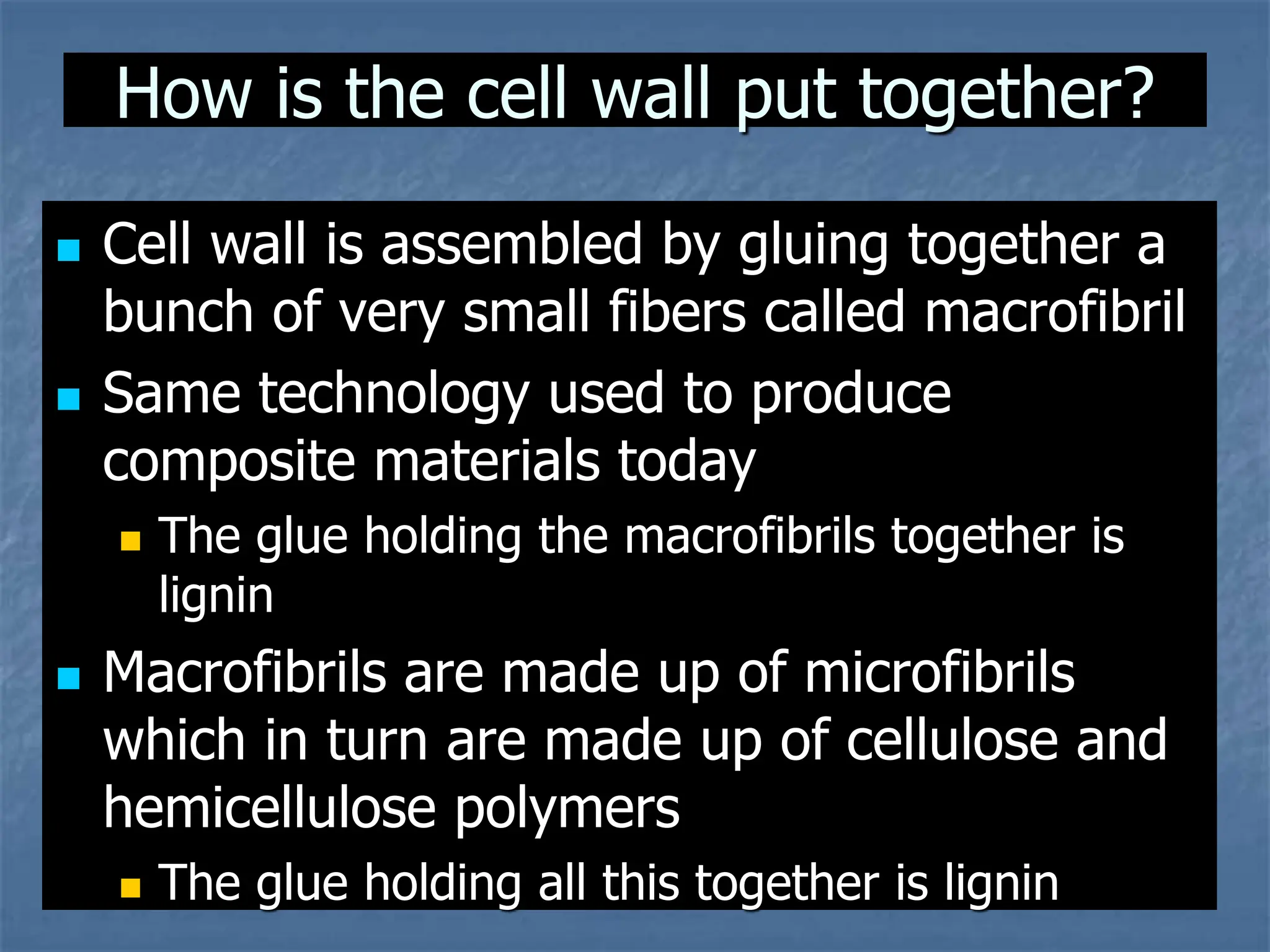 Chemical Composition of WOOD.ppt