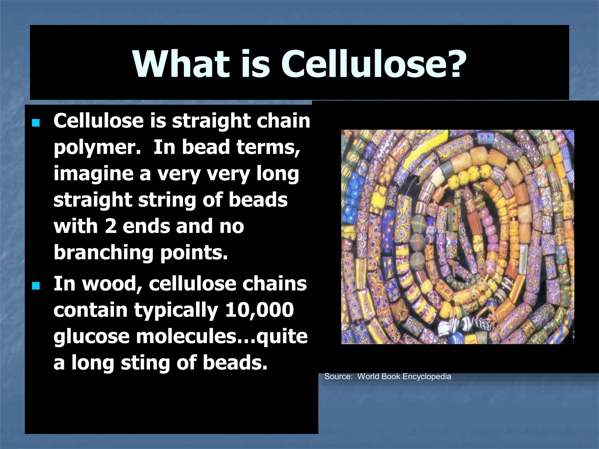 Chemical Composition of WOOD.ppt