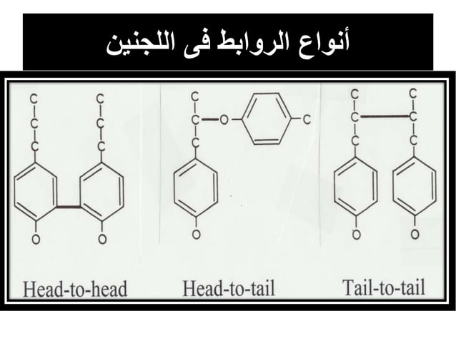 Chemical Composition of WOOD.ppt