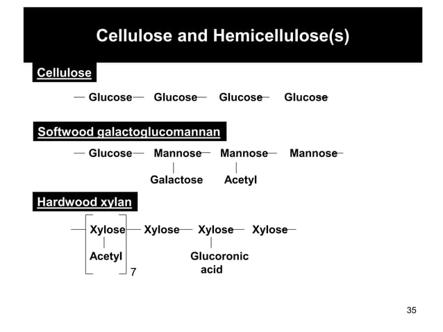 Chemical Composition of WOOD.ppt