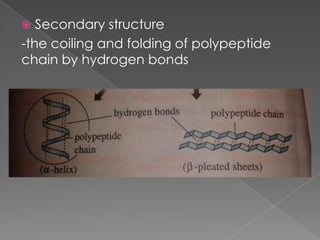 Chemical compositions of cell | PPTX
