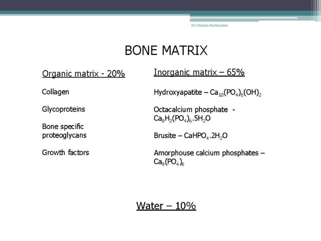 chemical compositon of bone 2022dhdzhdh.pdf