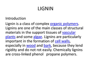 WOOD CHEMICAL COMPONENTS | PPTX