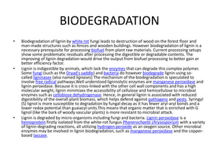 WOOD CHEMICAL COMPONENTS | PPTX