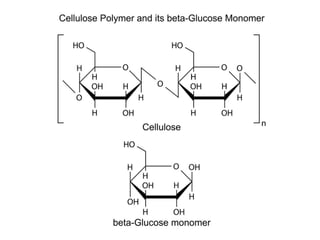 WOOD CHEMICAL COMPONENTS | PPTX