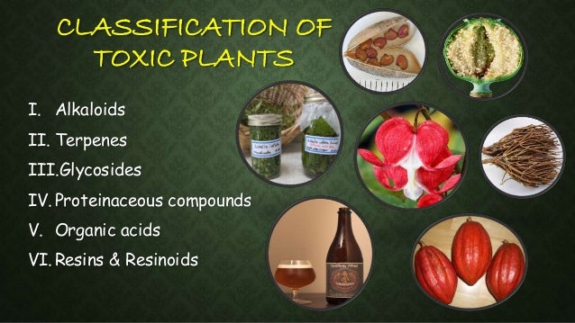 Chemical constituents of poisonous plants
