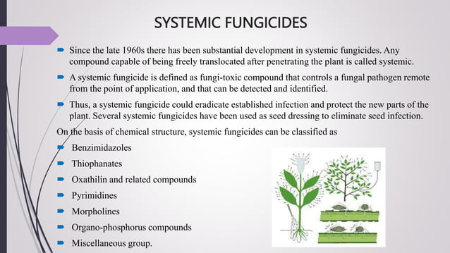 Chemical fungicides on plant disease management.pptx | Gardening | Home ...