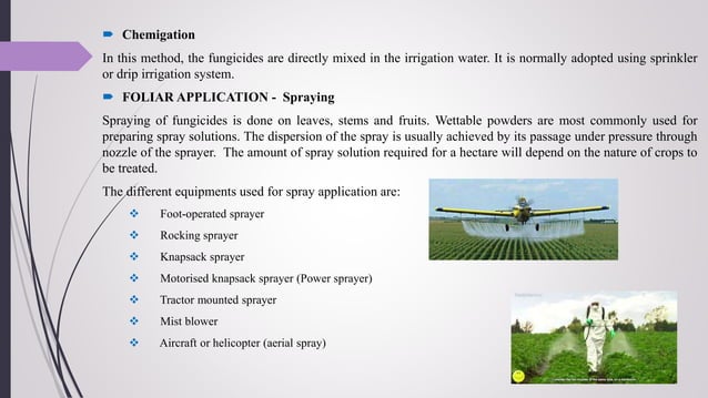 Chemical fungicides on plant disease management.pptx | Gardening | Home ...