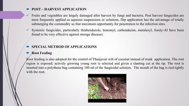 Chemical fungicides on plant disease management.pptx | Gardening | Home ...