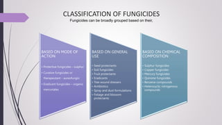 Chemical fungicides on plant disease management.pptx