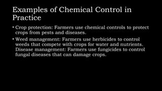 Chemical Control and Biopesticides in Crop Protection.pptx
