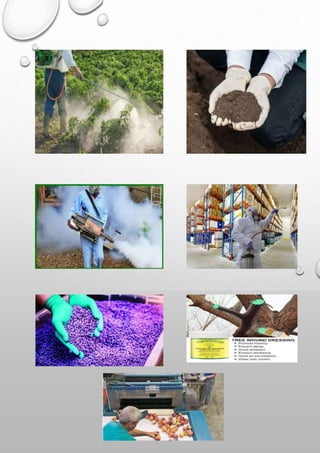 Chemical Control Methods_12082179_2022_11_12_23_42.pptx