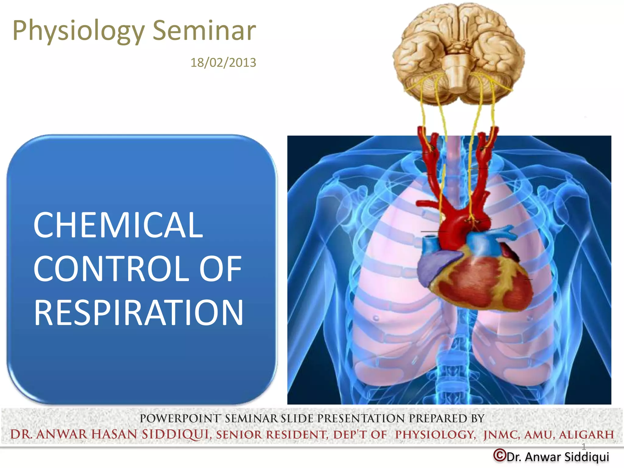 Chemical control of respiration | PPTX