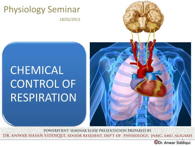 Chemical control of respiration | PPTX | Lung and Respiratory Health ...