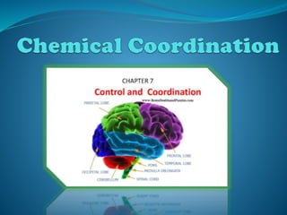 Chemical coordination | PPT