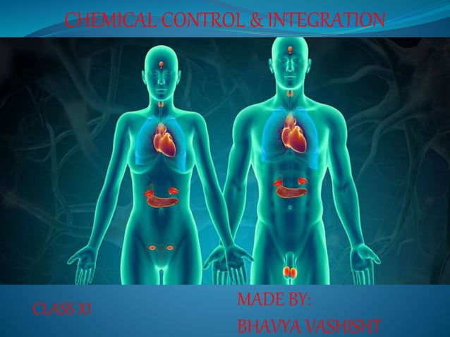 Chemical coordination and integration | PPTX