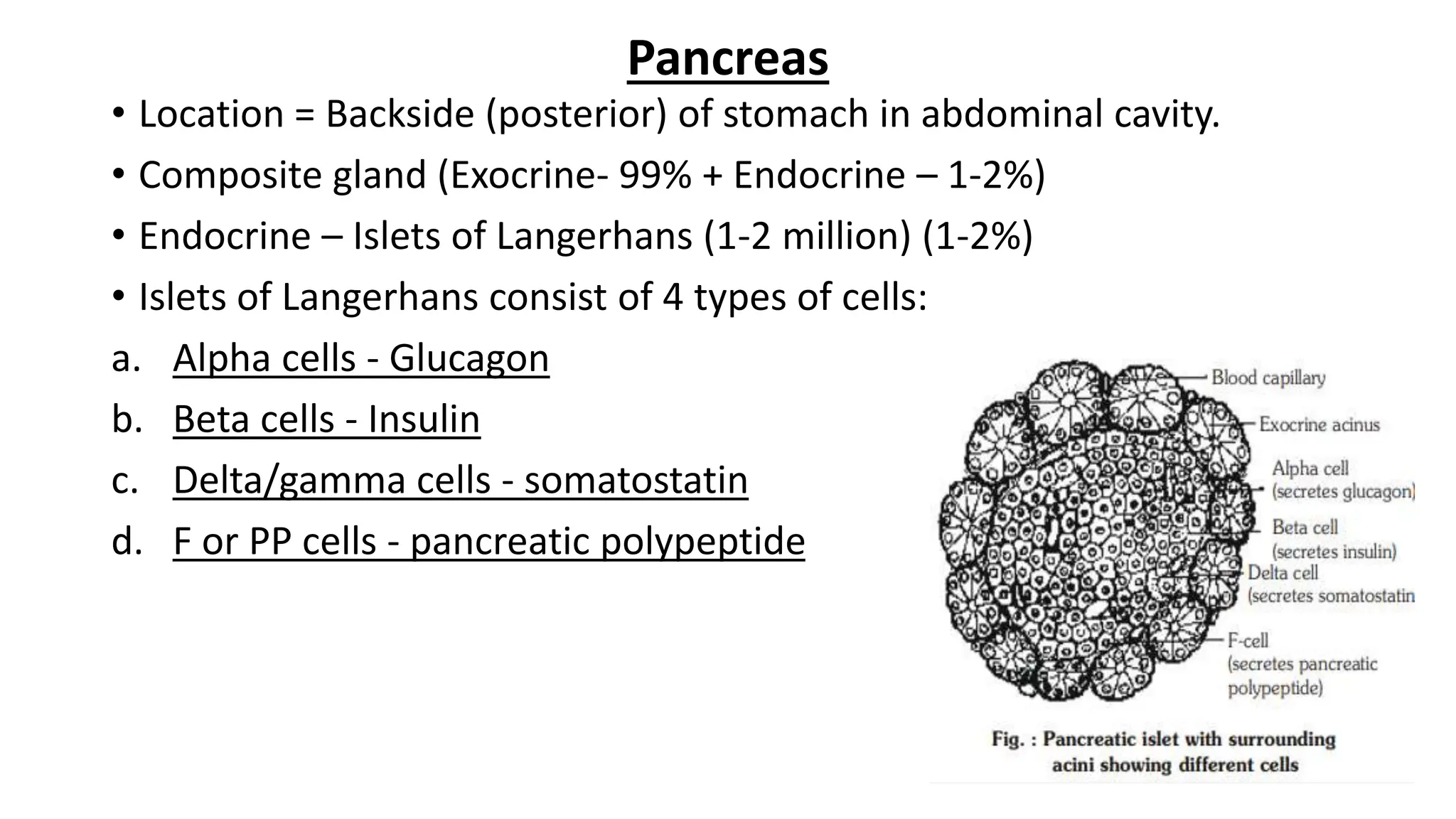 CHEMICAL COORDINATION AND INTEGRATION (Endocrine System).pptx for NEET ...