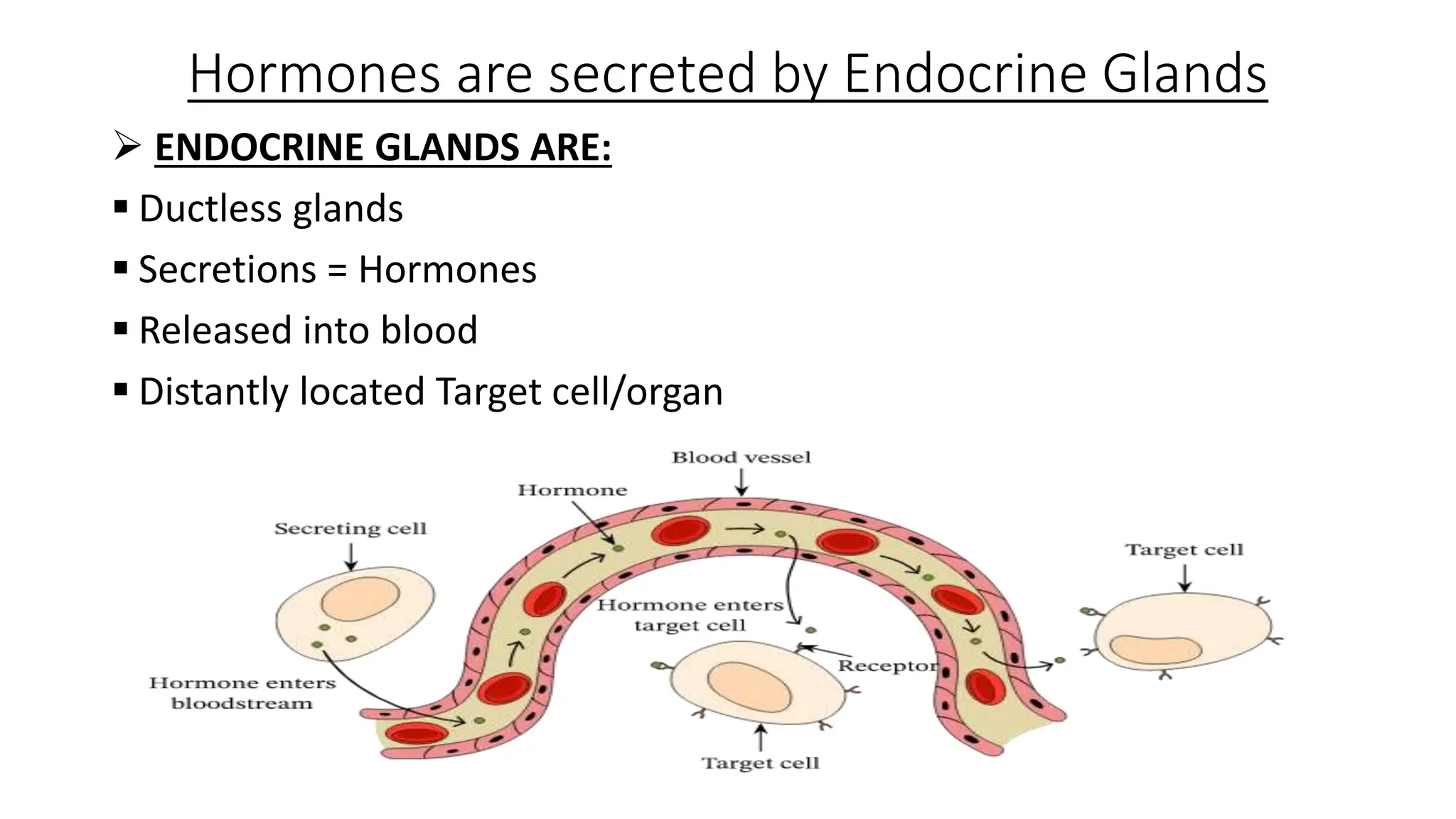 CHEMICAL COORDINATION AND INTEGRATION (Endocrine System).pptx for NEET ...