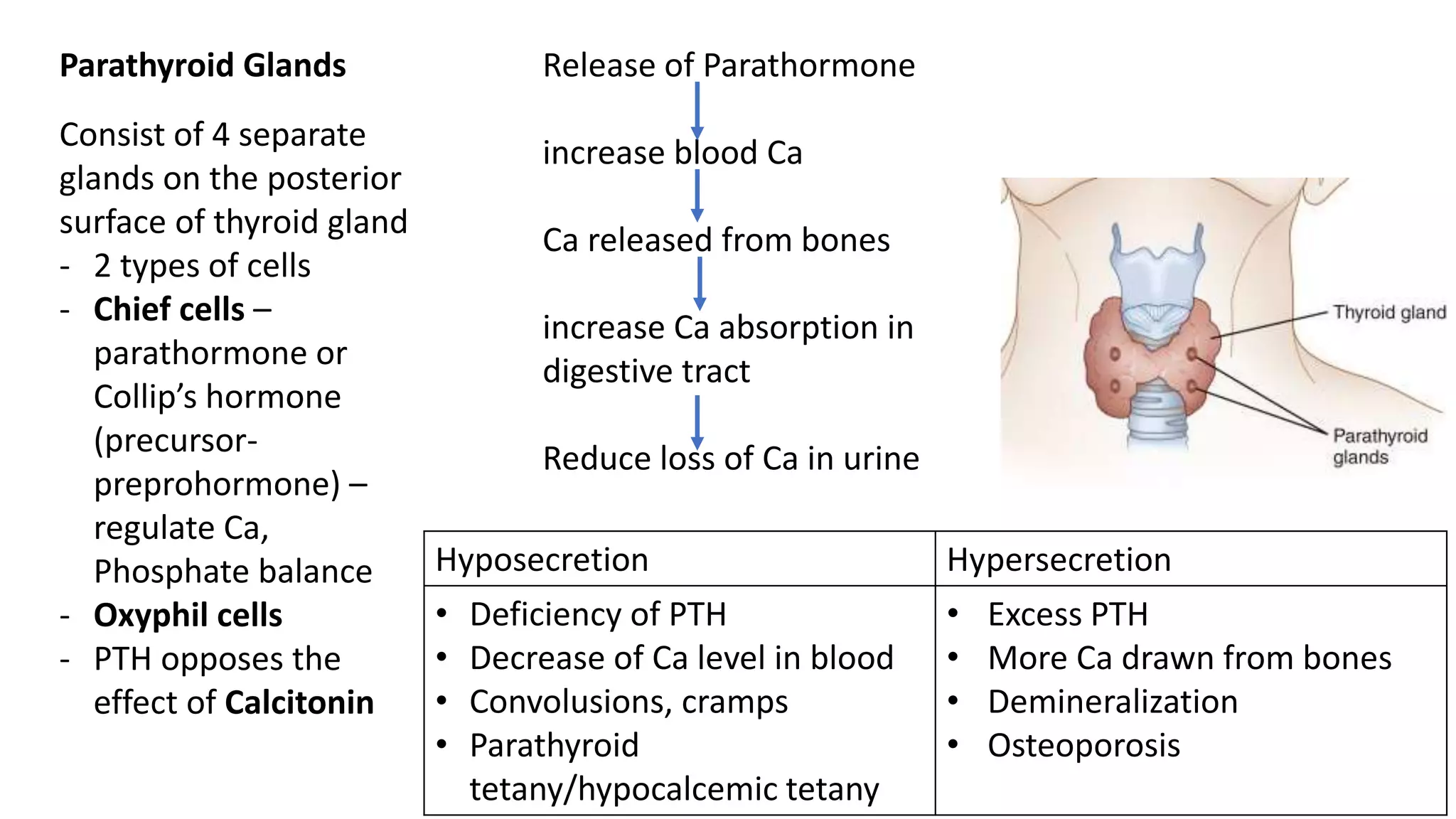 Chemical coordination and integration | PPTX