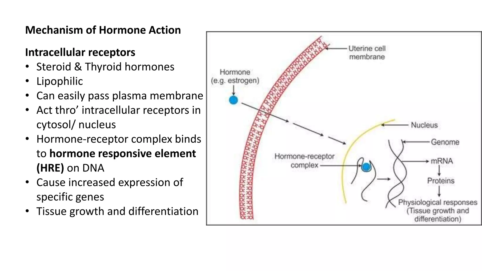 Chemical coordination and integration | PPTX