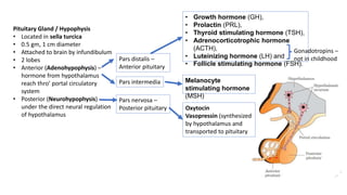 Chemical coordination and integration | PPT