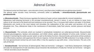 Chemical Coordination and Integration_NEET_XI_NCERT-1.pptx