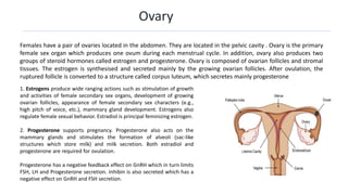 Chemical Coordination and Integration_NEET_XI_NCERT-1.pptx | Thyroid ...