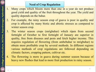 Chemical crop regulation by Y. Pooja | PPTX
