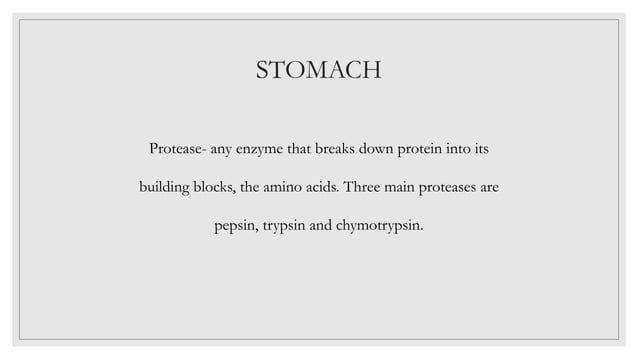 CHEMICAL DIGESTION of Human with small definition | PPT