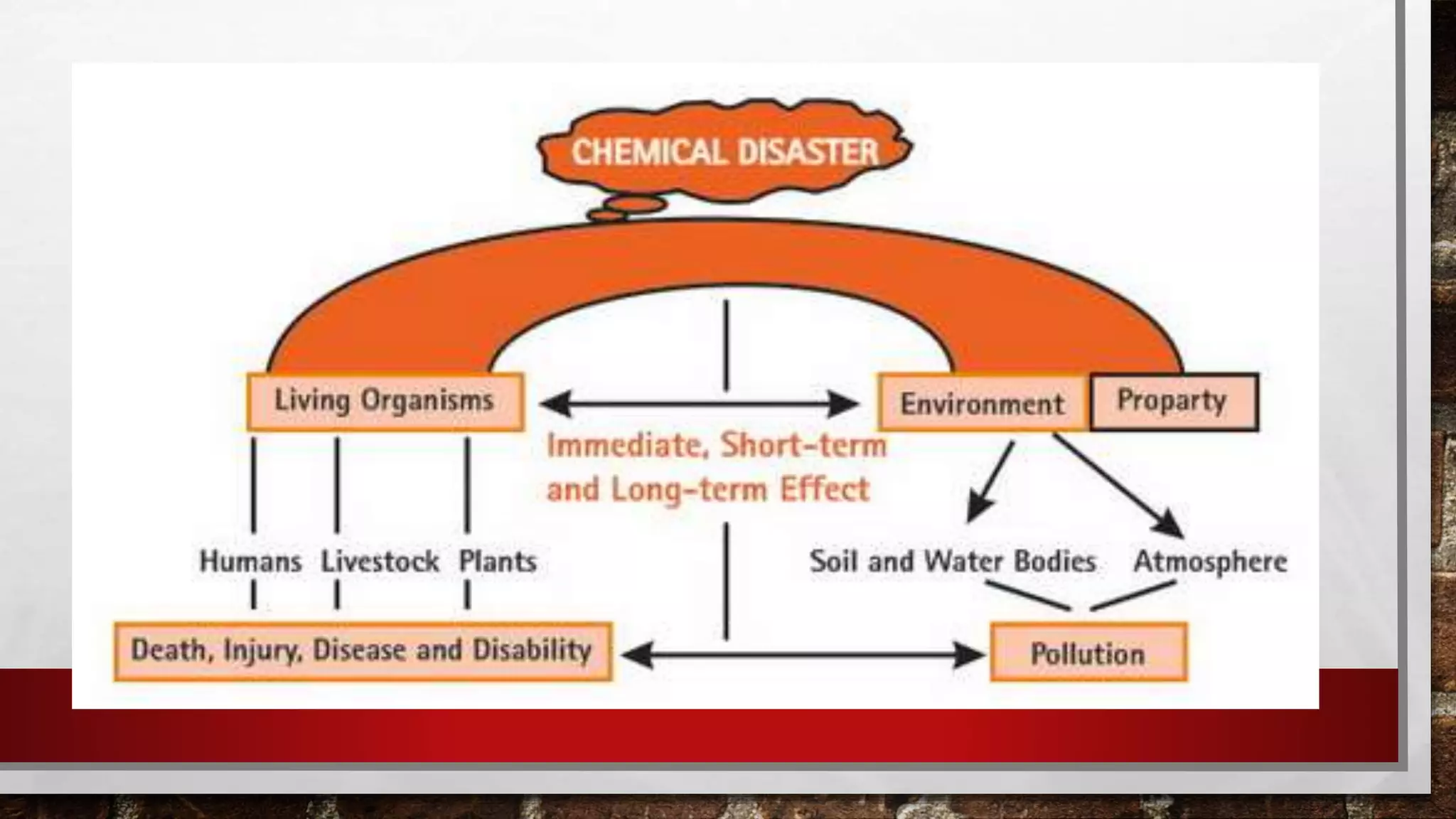 Chemical Disaster.pptx
