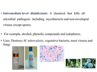 Chemical Disinfectants | PPTX