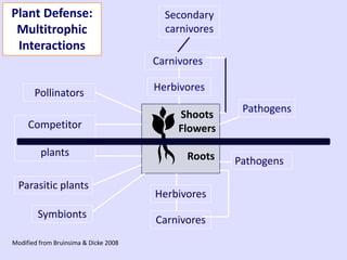Chemical ecology of medicinal plants | PDF