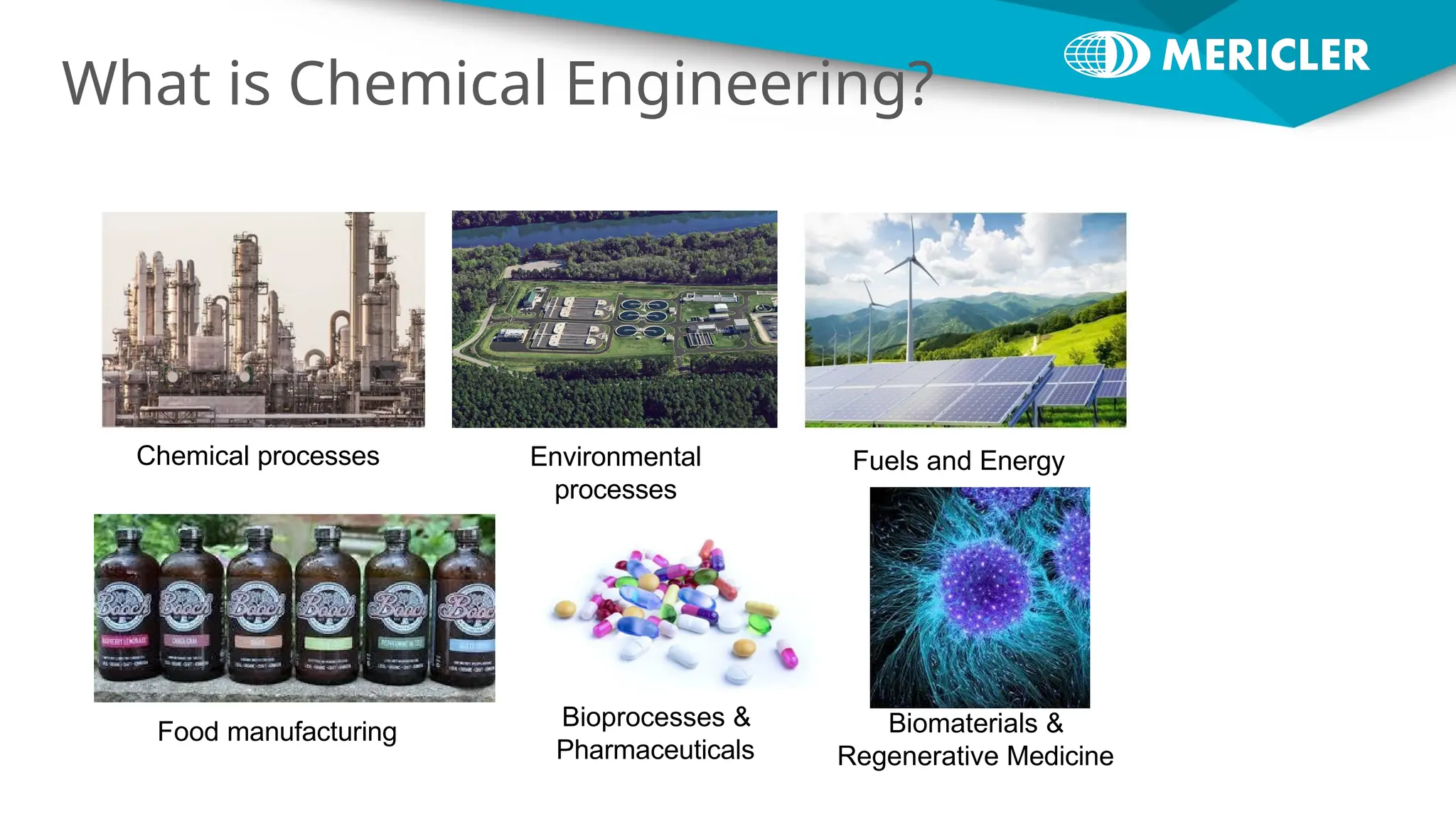 CHEMICAL ENGINEERING PRINCIPLES - Mericler 2025.pptx